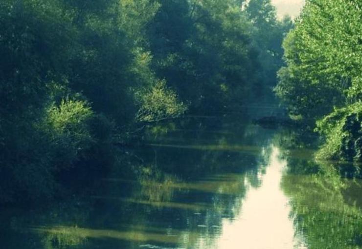 DSİ onaylamış: Cengiz Holding en az 50 köyün suyuna göz dikti