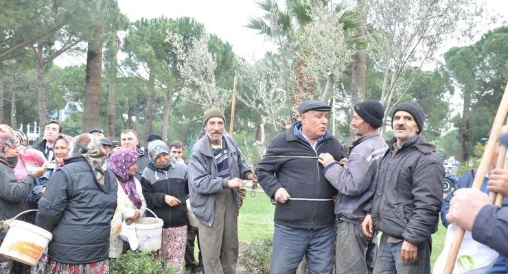 Edremit'te hasat şenliği