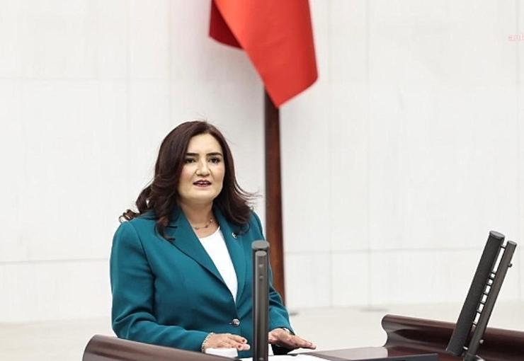 CHP'li Sevda Erdan Kılıç'tan seçmene çağrı